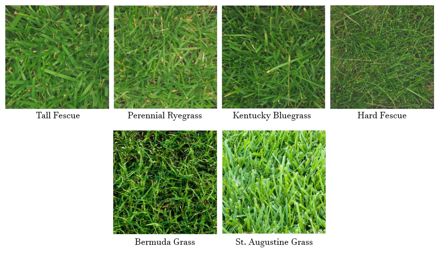 Watering Times & Schedule – Smart Irrigation