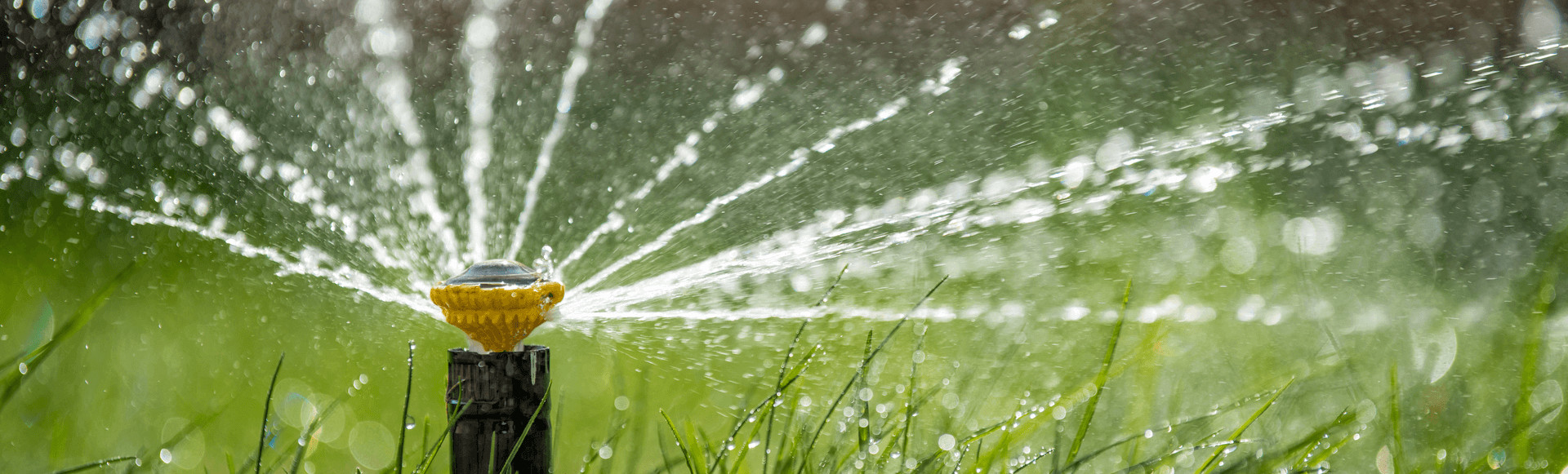 Smart Irrigation – Expert irrigation info & resources